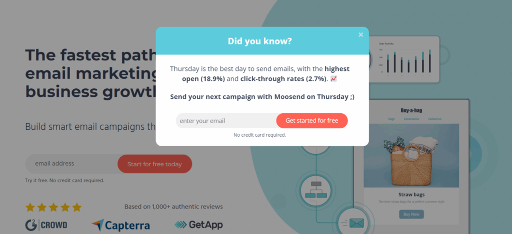 How to Use Email Marketing to Promote Your Website | Forge and Smith