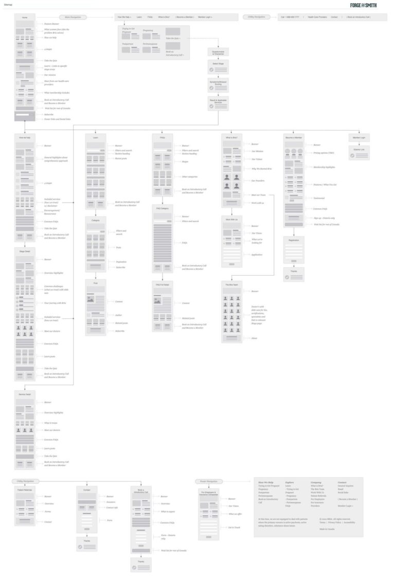 Web Design Case Study for BRIA | Forge and Smith